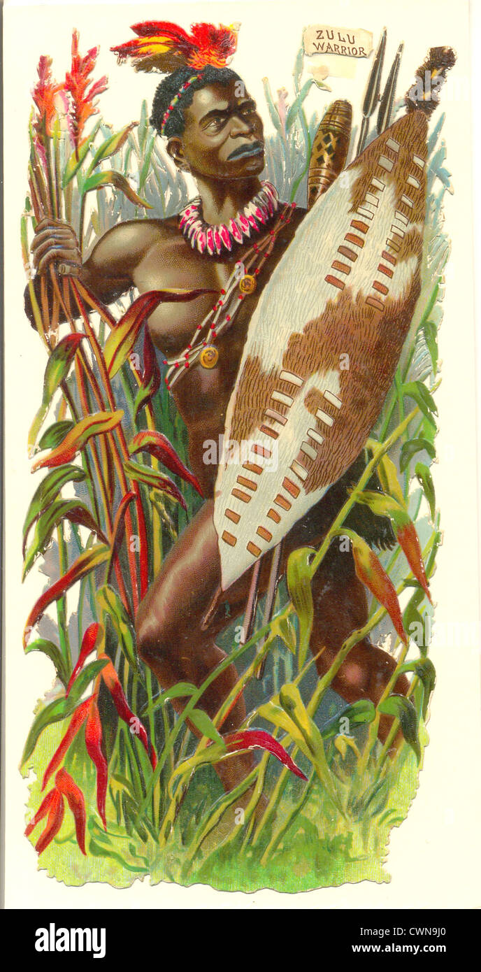 Zulu Warrior Shield High Resolution Stock Photography and Images - Alamy