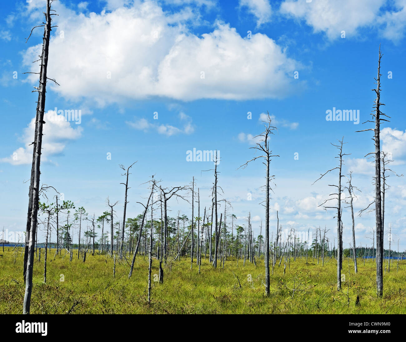 Clear dry bright calm still weather hi-res stock photography and images ...