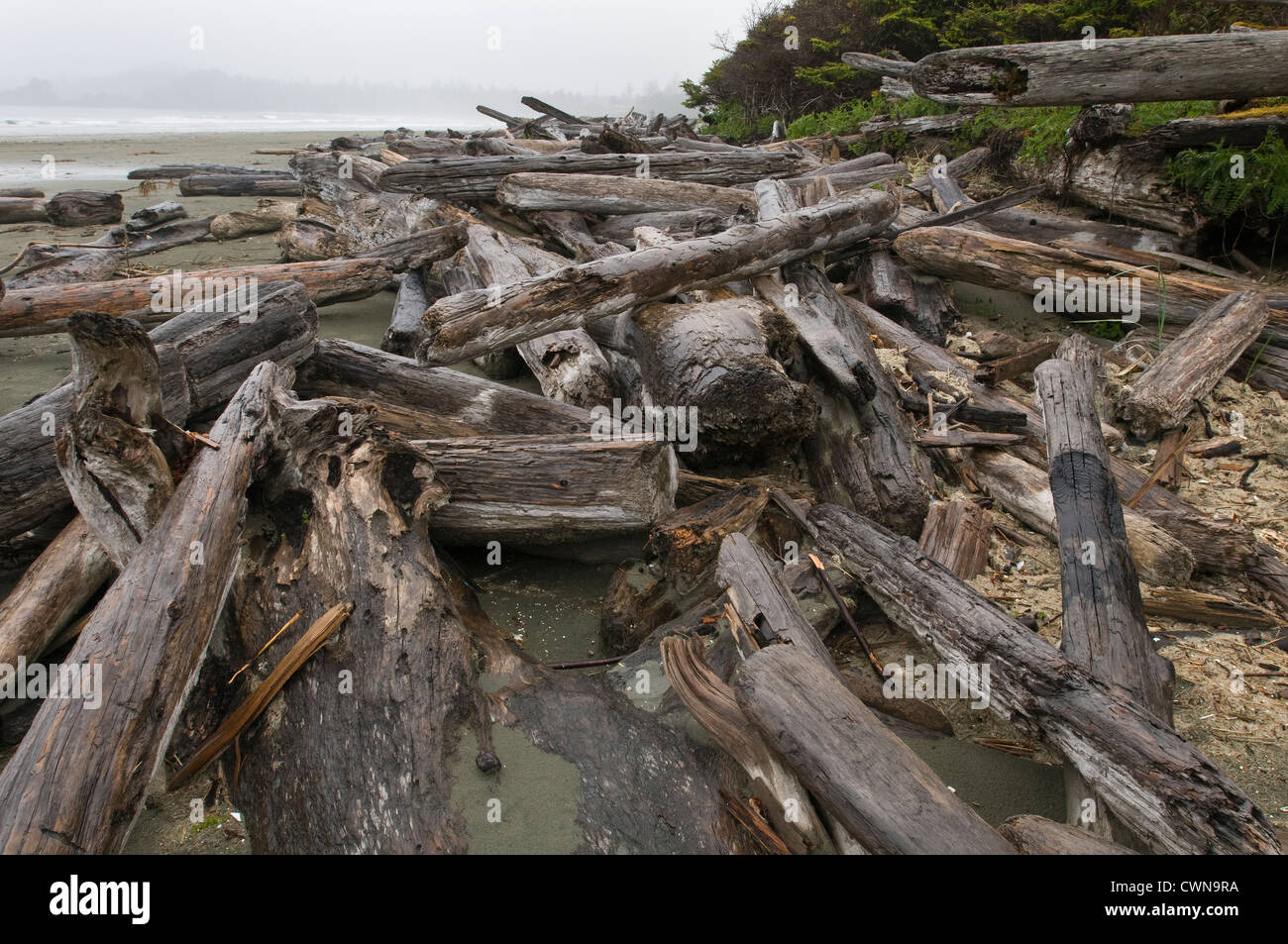 Deforesting Stock Photos & Deforesting Stock Images - Alamy