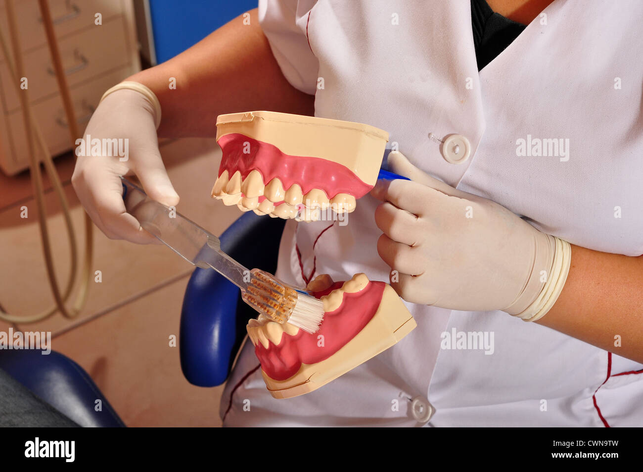 Photo of dentist showing his patient how to brush teeth Stock Photo - Alamy