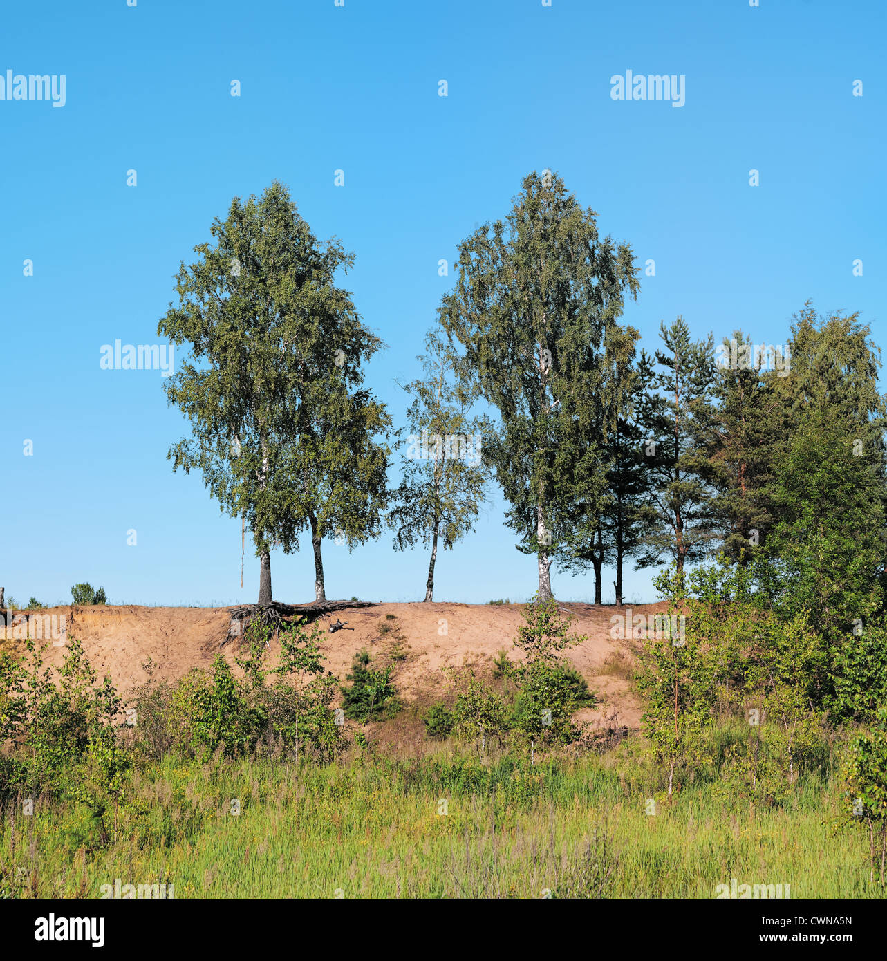 Branch breakage hi-res stock photography and images - Alamy