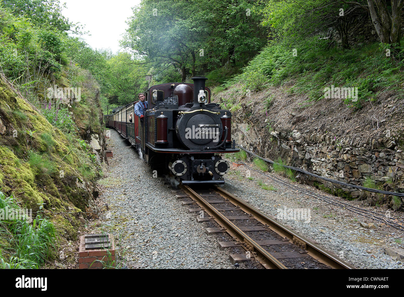 Narrow rail railways hi-res stock photography and images - Alamy