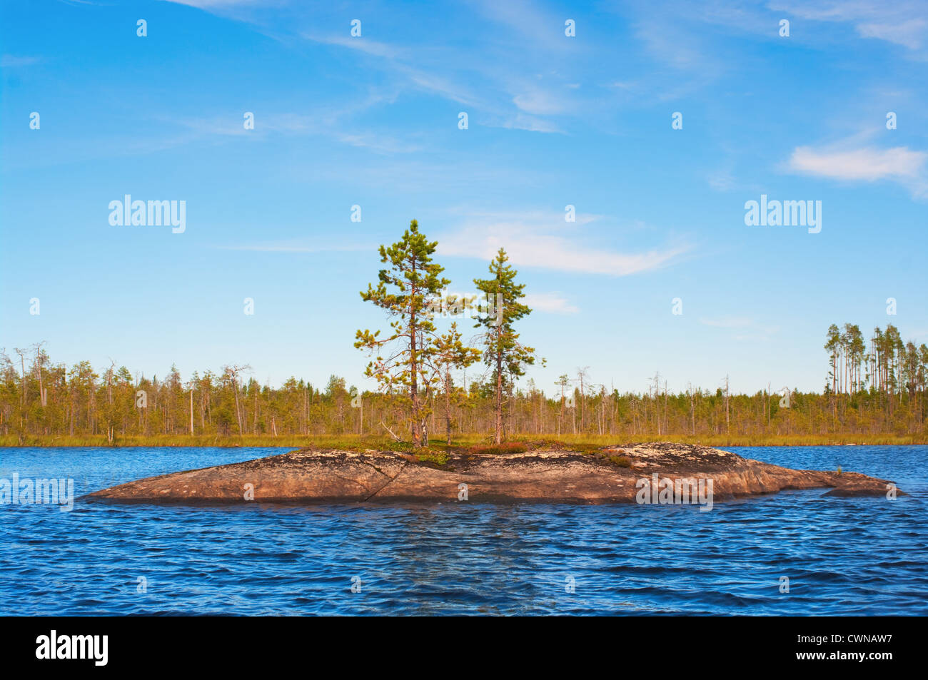 Smooth suface hi-res stock photography and images - Alamy