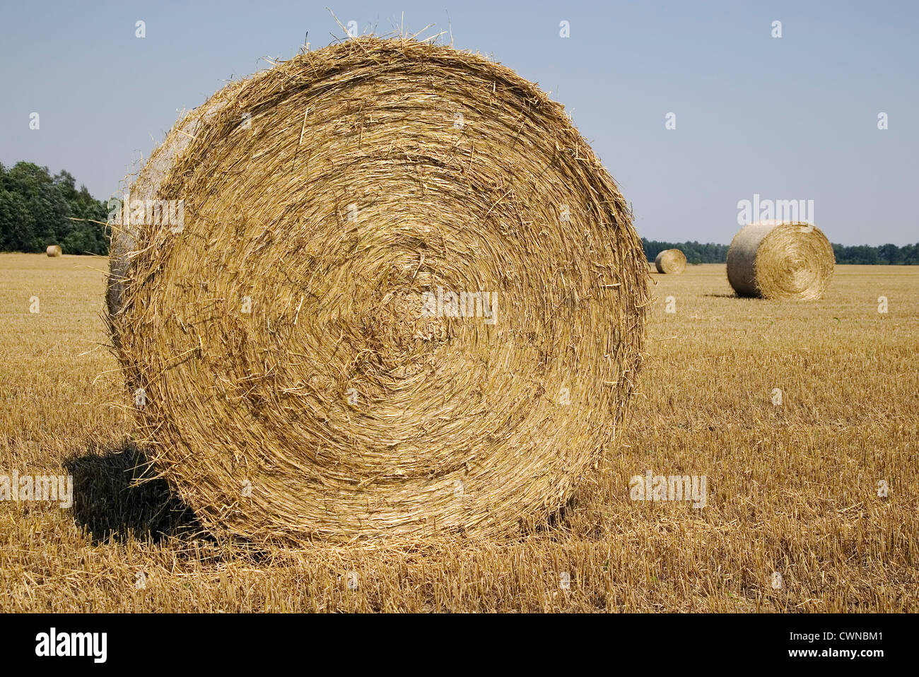 Compressed grass hi-res stock photography and images - Alamy