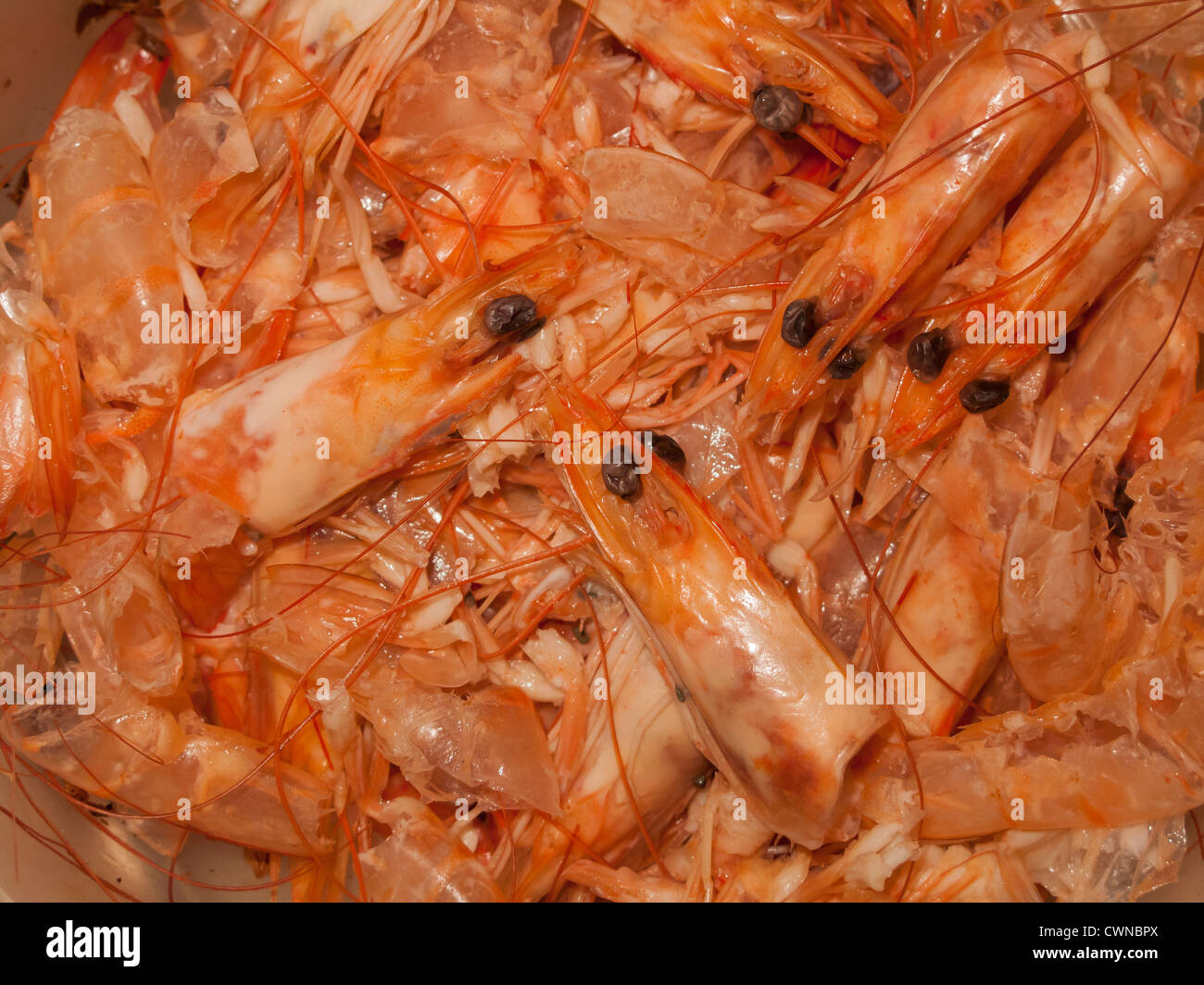 Prawn heads and residues left after a Mediterranean meal, Spain Stock ...