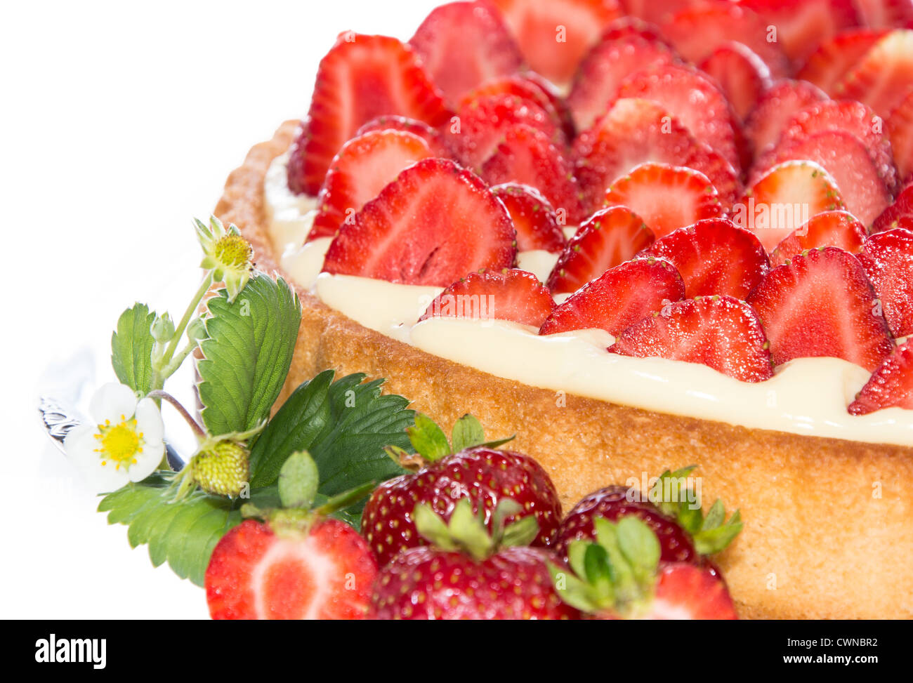 Strawberry Cake isolated on white background Stock Photo - Alamy