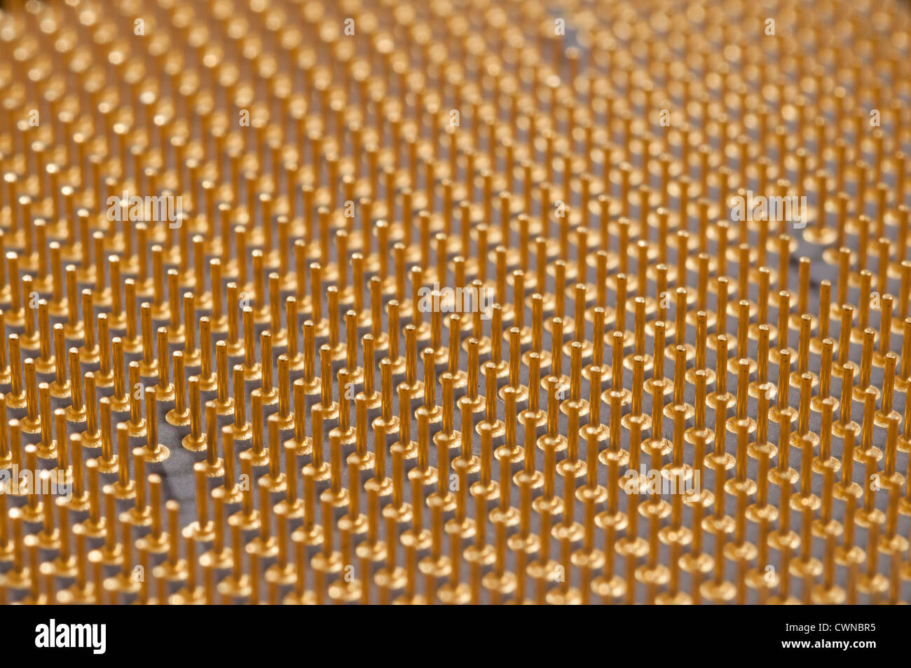 Underside view of a modern CPU computer chip or central processing unit ...