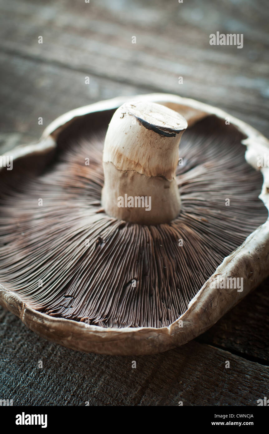 Large fresh portobello mushroom on wood planks Stock Photo - Alamy