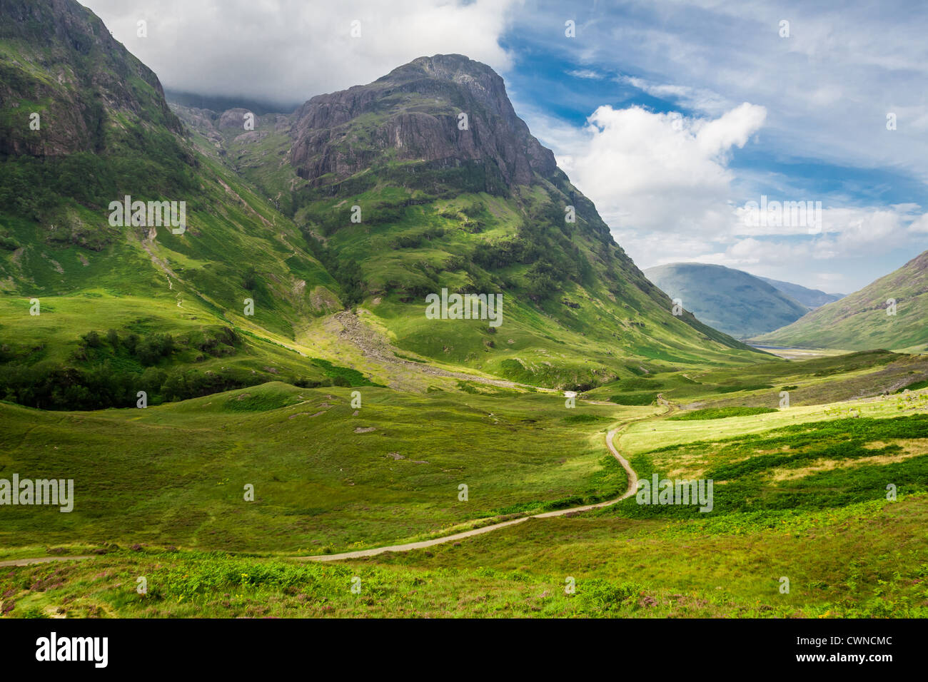 Footpath in the sunny Scotland highlands Stock Photo - Alamy