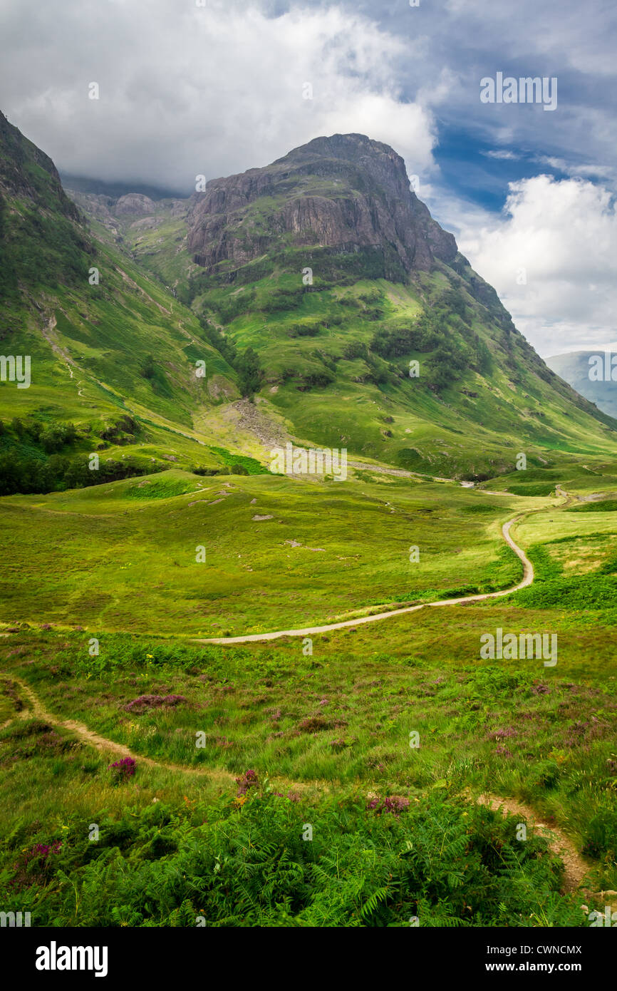 Winding footpath in the Scotland highlands Stock Photo - Alamy