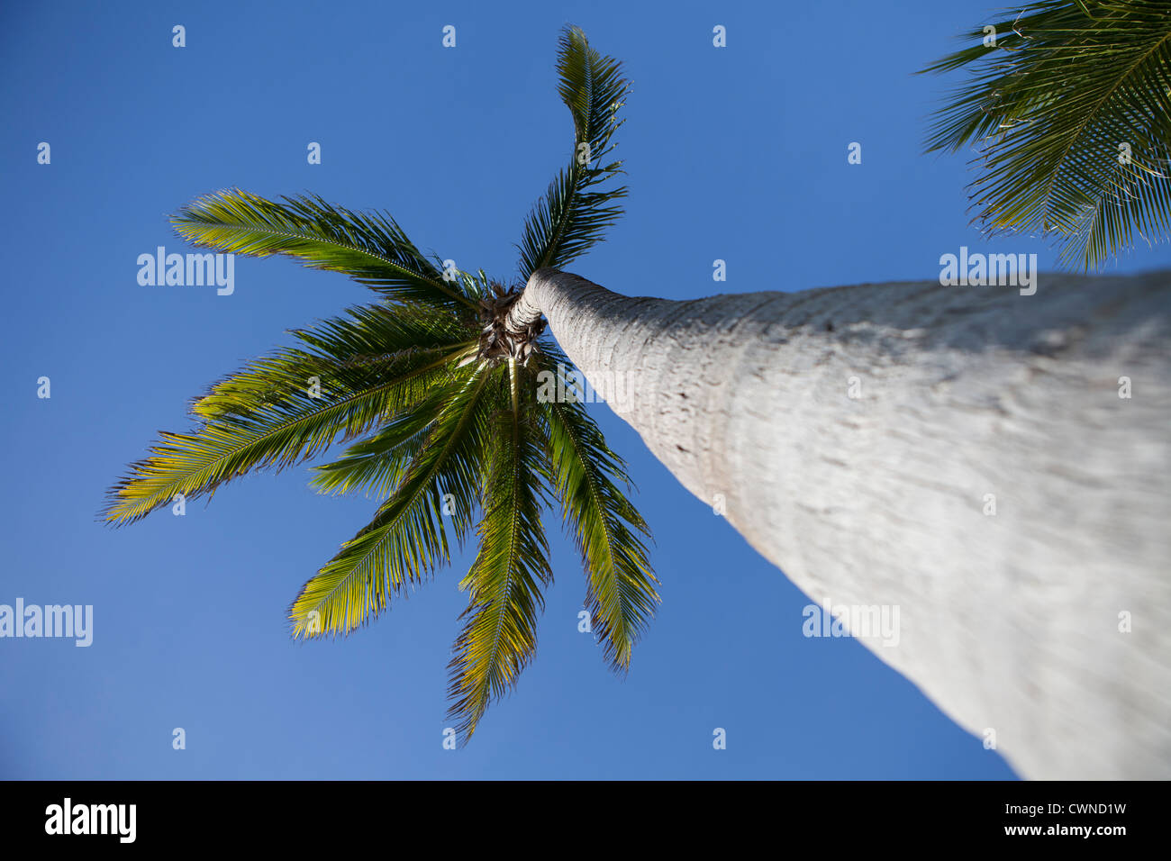 Cable beach in broome hi-res stock photography and images - Alamy