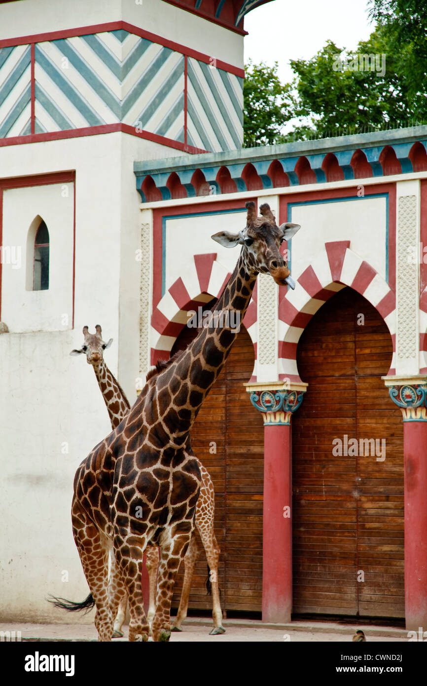Zoologico Argentina Palermo A Walk In Palermo | BUENOS AIRES