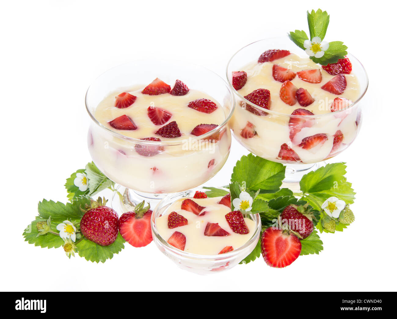 Vanilla Pudding with Strawberries isolated on white background Stock ...