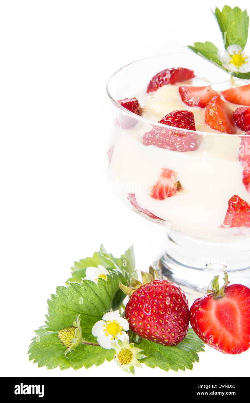 Pudding with fresh fruits isolated on white background Stock Photo - Alamy