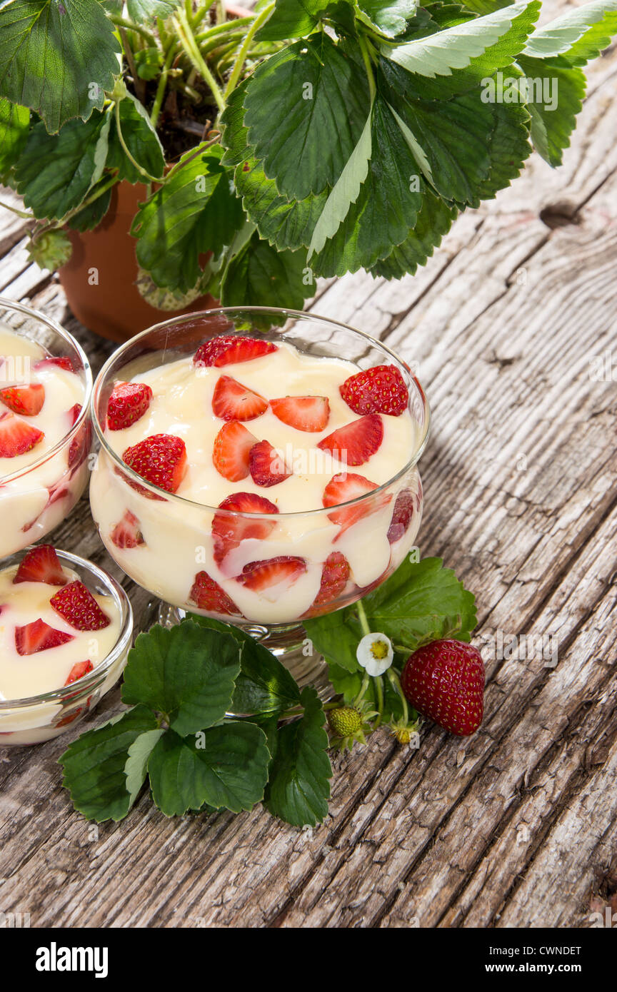 Portion sizes hi-res stock photography and images - Alamy