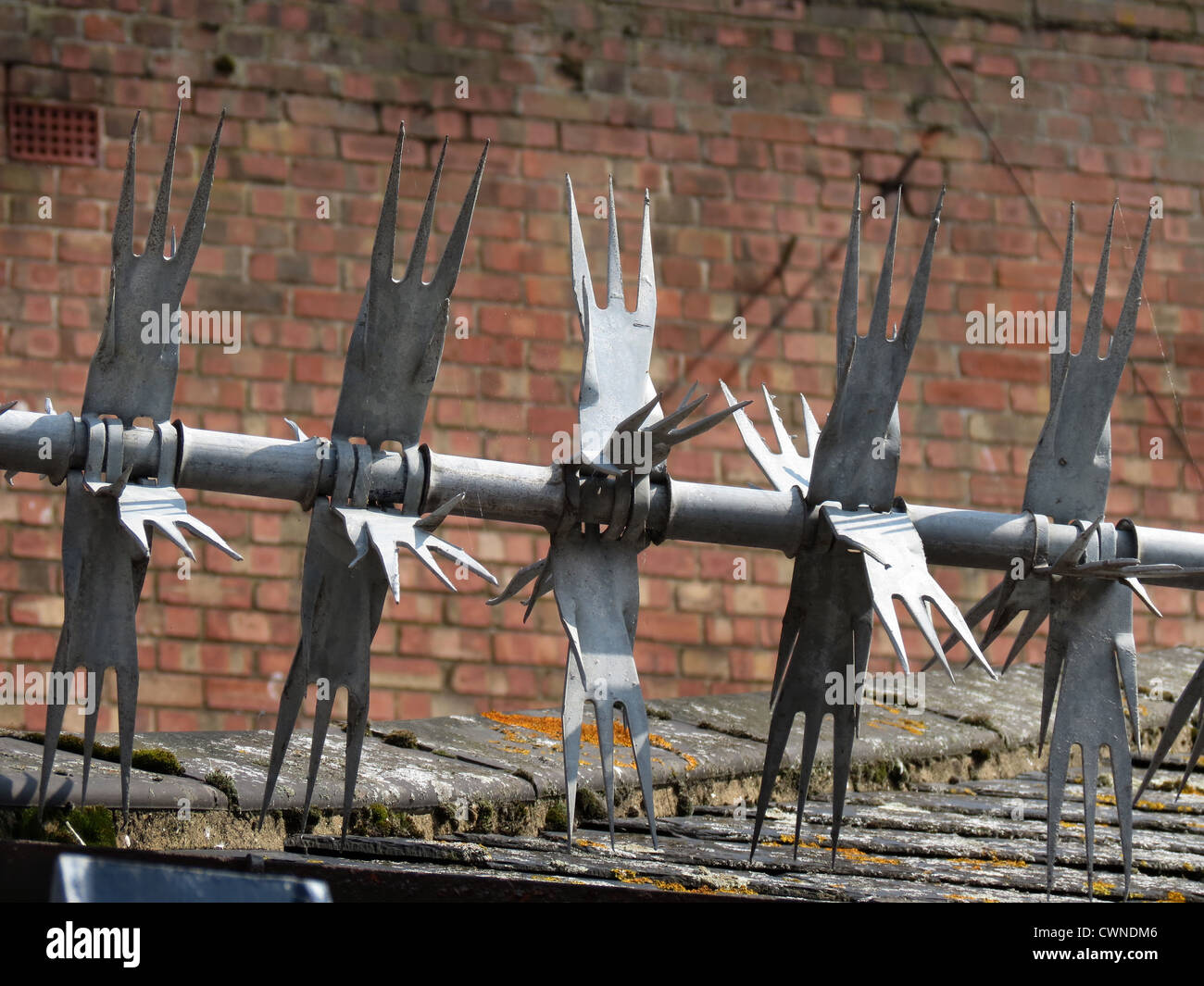 Security measure hi-res stock photography and images - Alamy