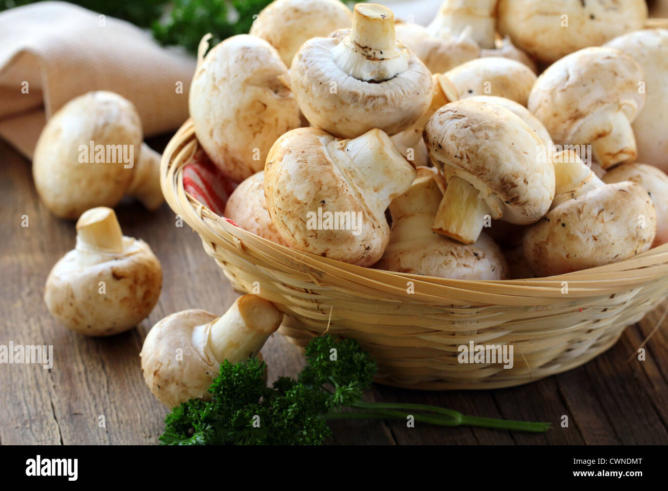 Fresh champignon mushrooms Stock Photo - Alamy