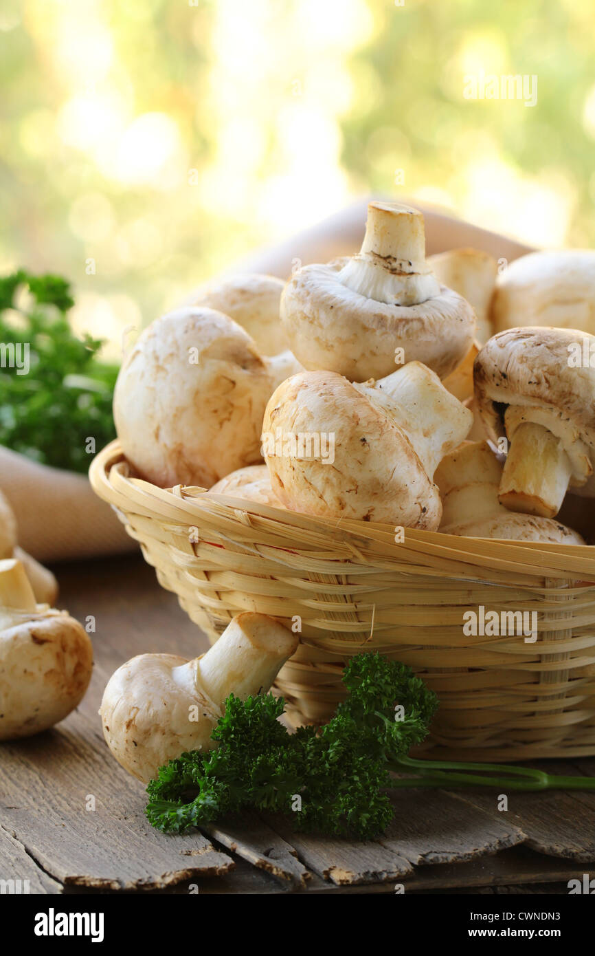 Fresh champignon mushrooms Stock Photo - Alamy
