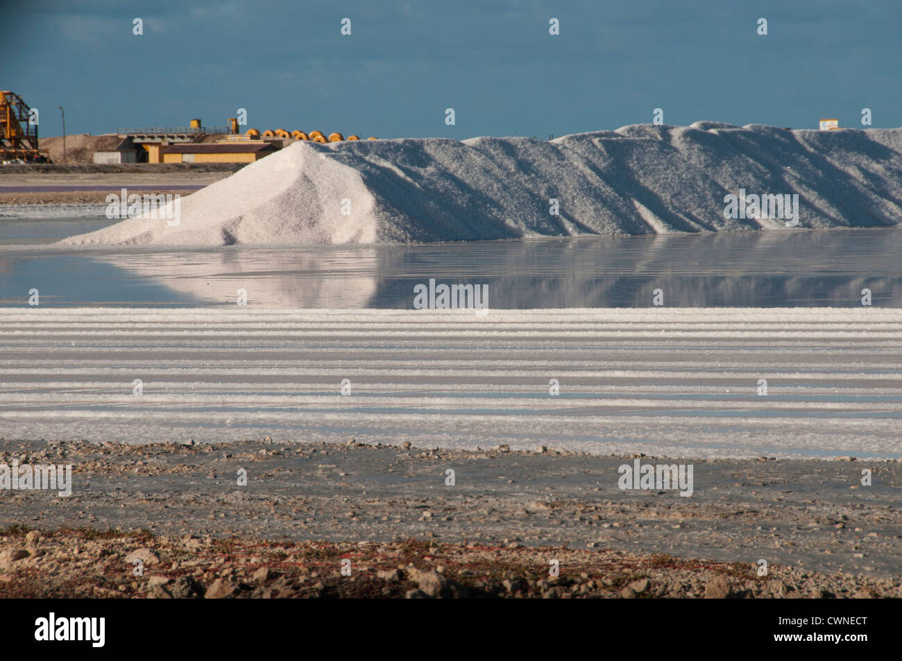 Salt production on Bonaire in the Netherlands Antilles Stock Photo - Alamy