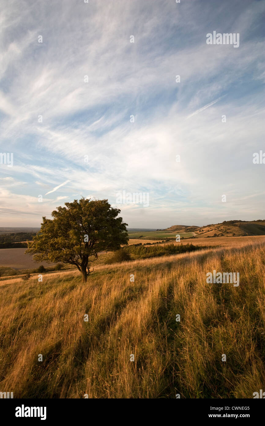 The chilterns hills hi-res stock photography and images - Alamy