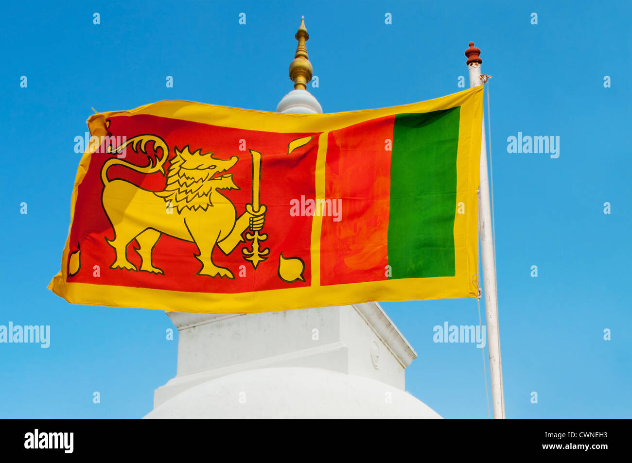 Sri lanka flag lion hi-res stock photography and images - Alamy