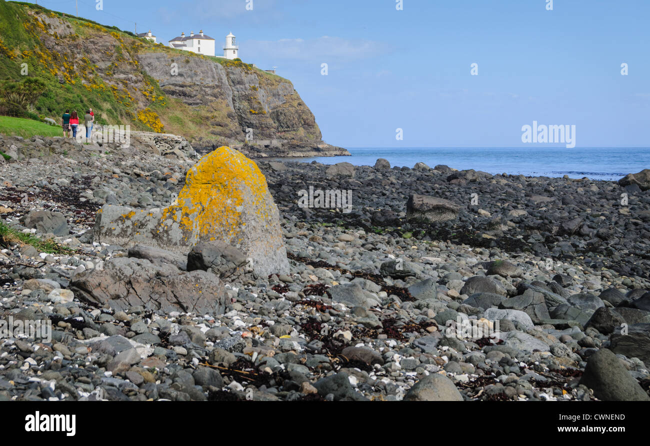 A natural beach oblist rock located along the Blackhead Path, County ...