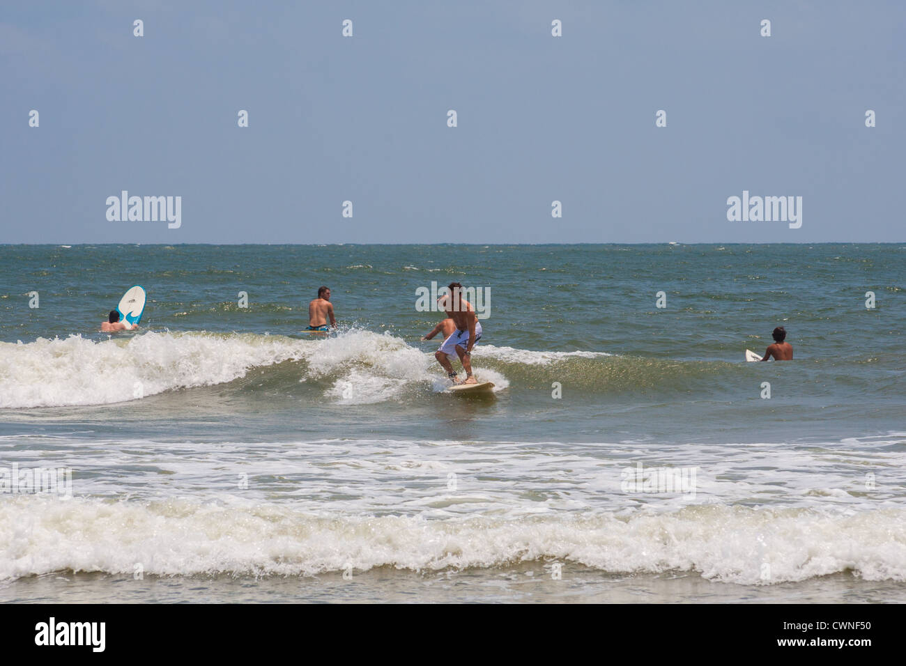 Charleston water sport hi-res stock photography and images - Alamy