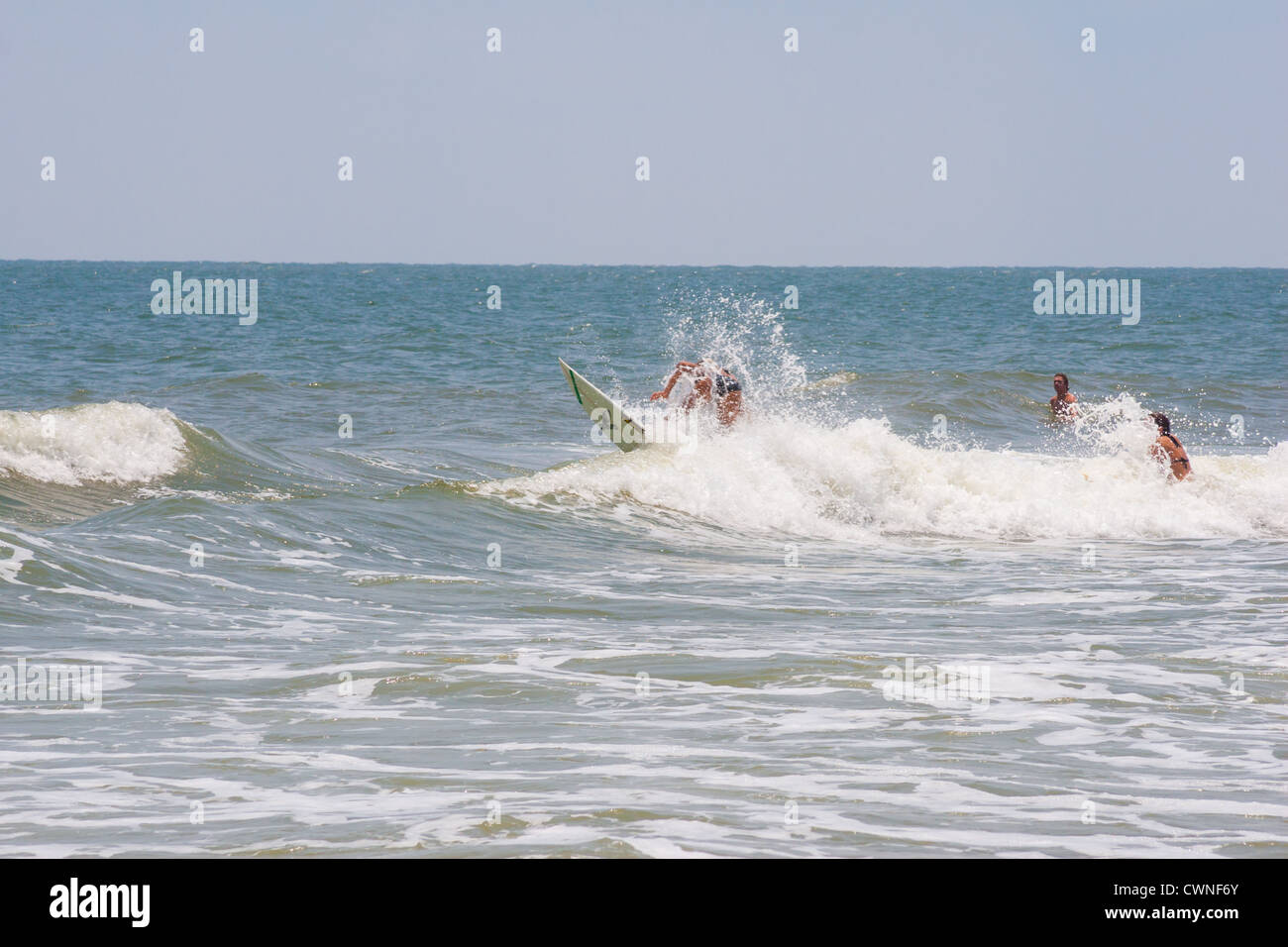 Surfing In Charleston South Carolina Stock Photo - Alamy