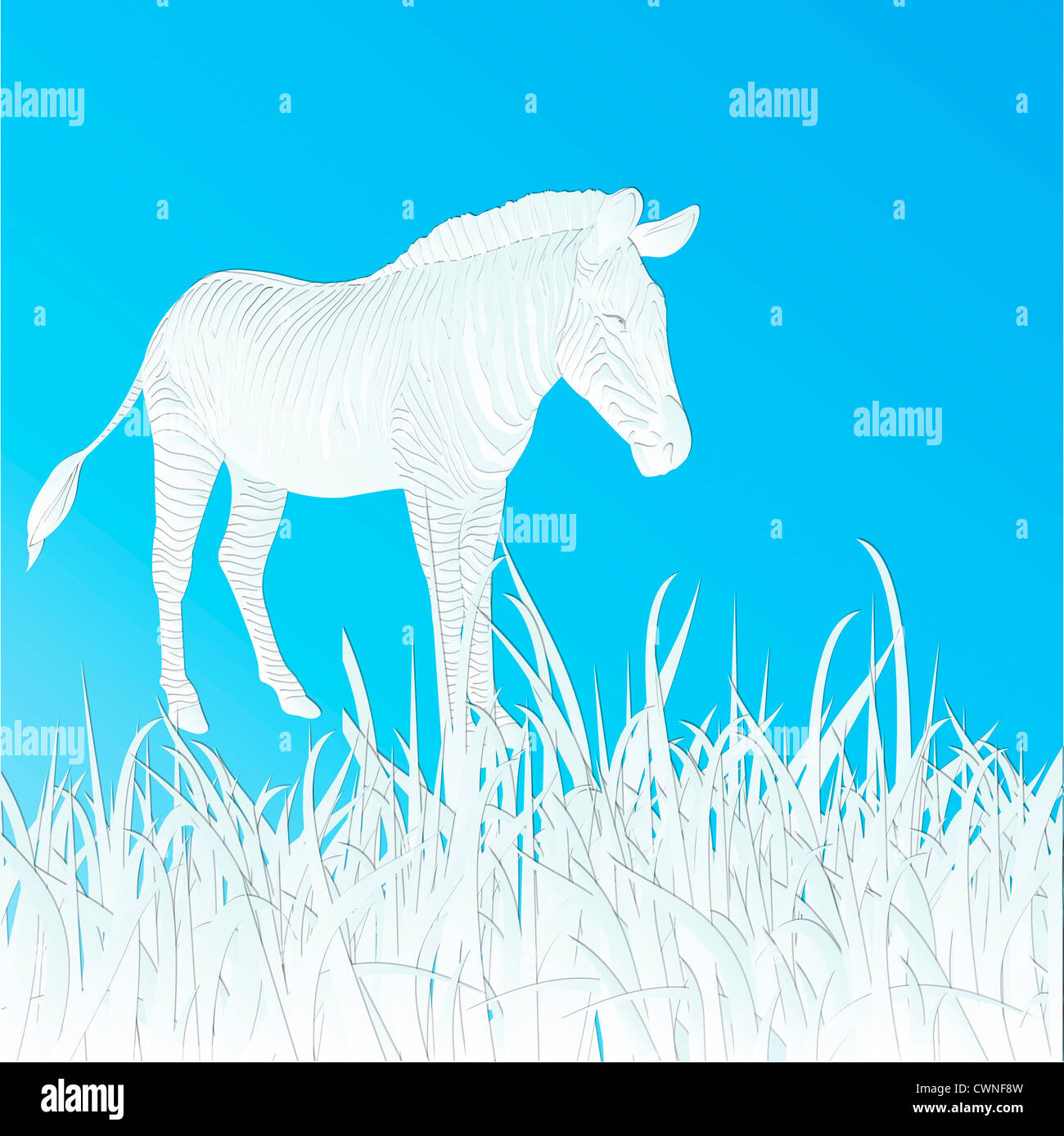 Zebra face abstract blue hi-res stock photography and images - Alamy