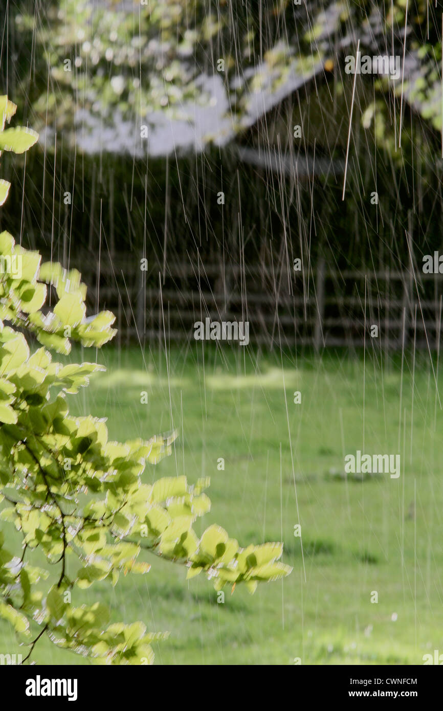 long exposure of rain drops falling in a rural setting Stock Photo - Alamy
