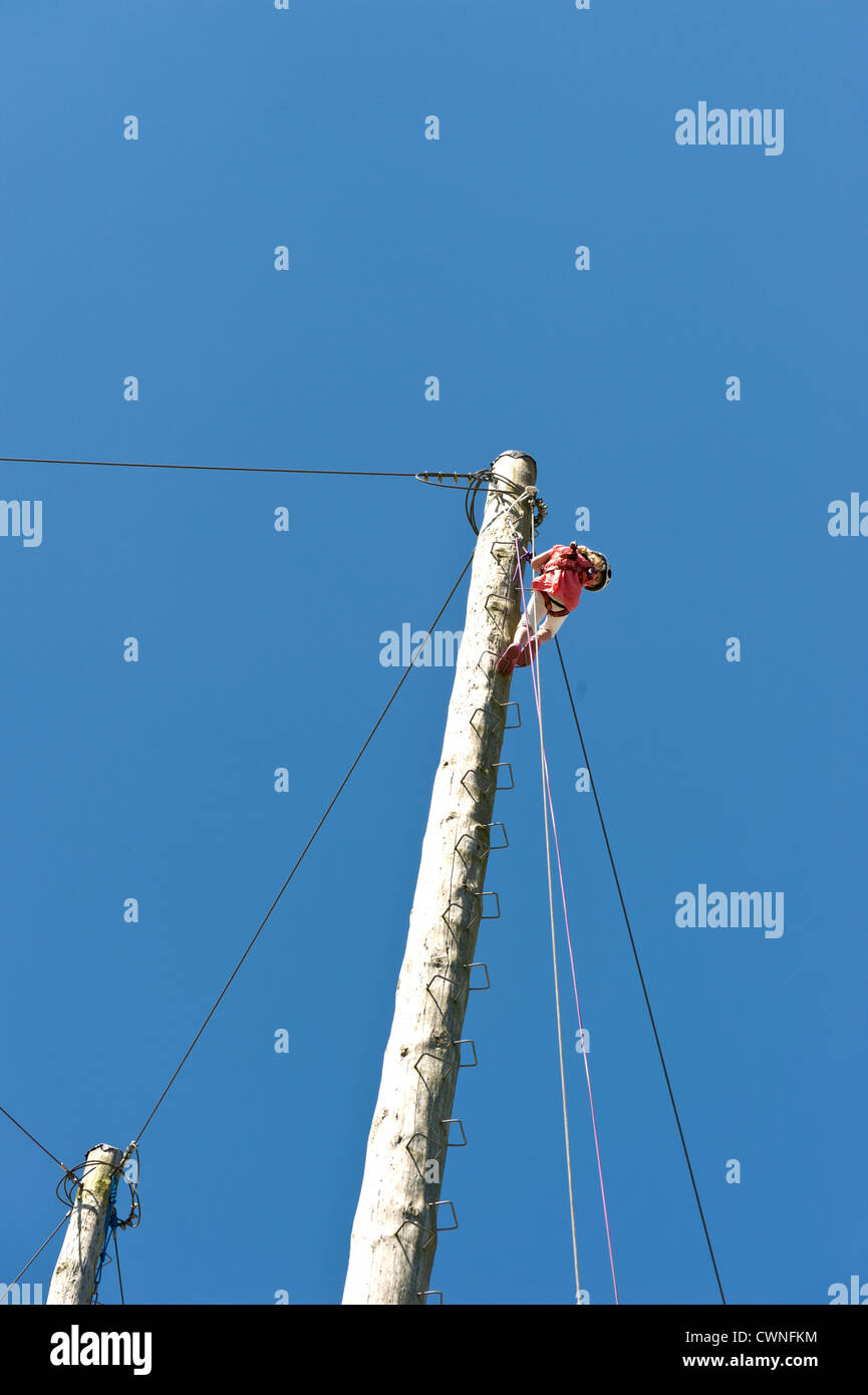 New Forest County Show child climbing pole Stock Photo - Alamy