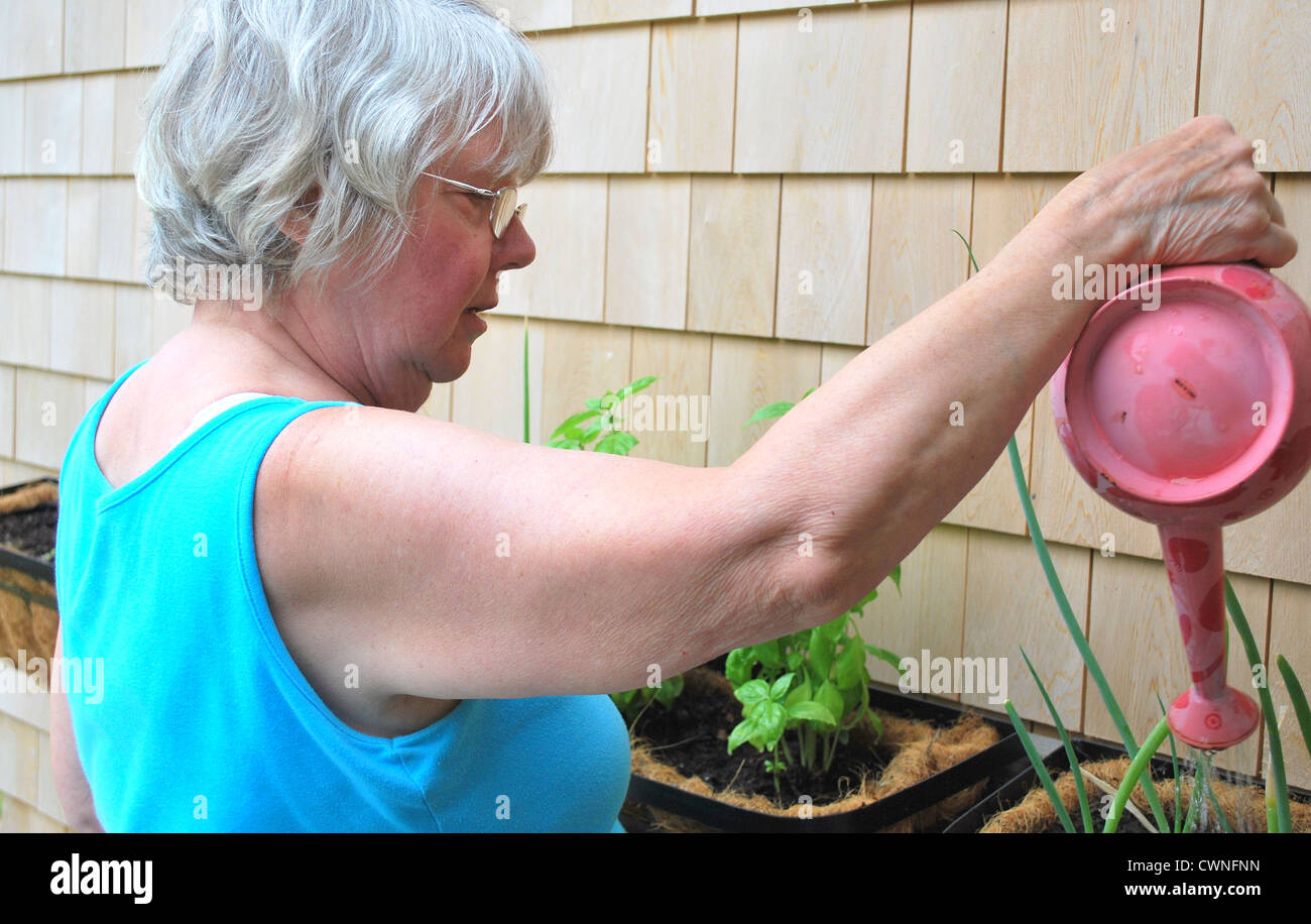 Female watering plants Stock Photo - Alamy