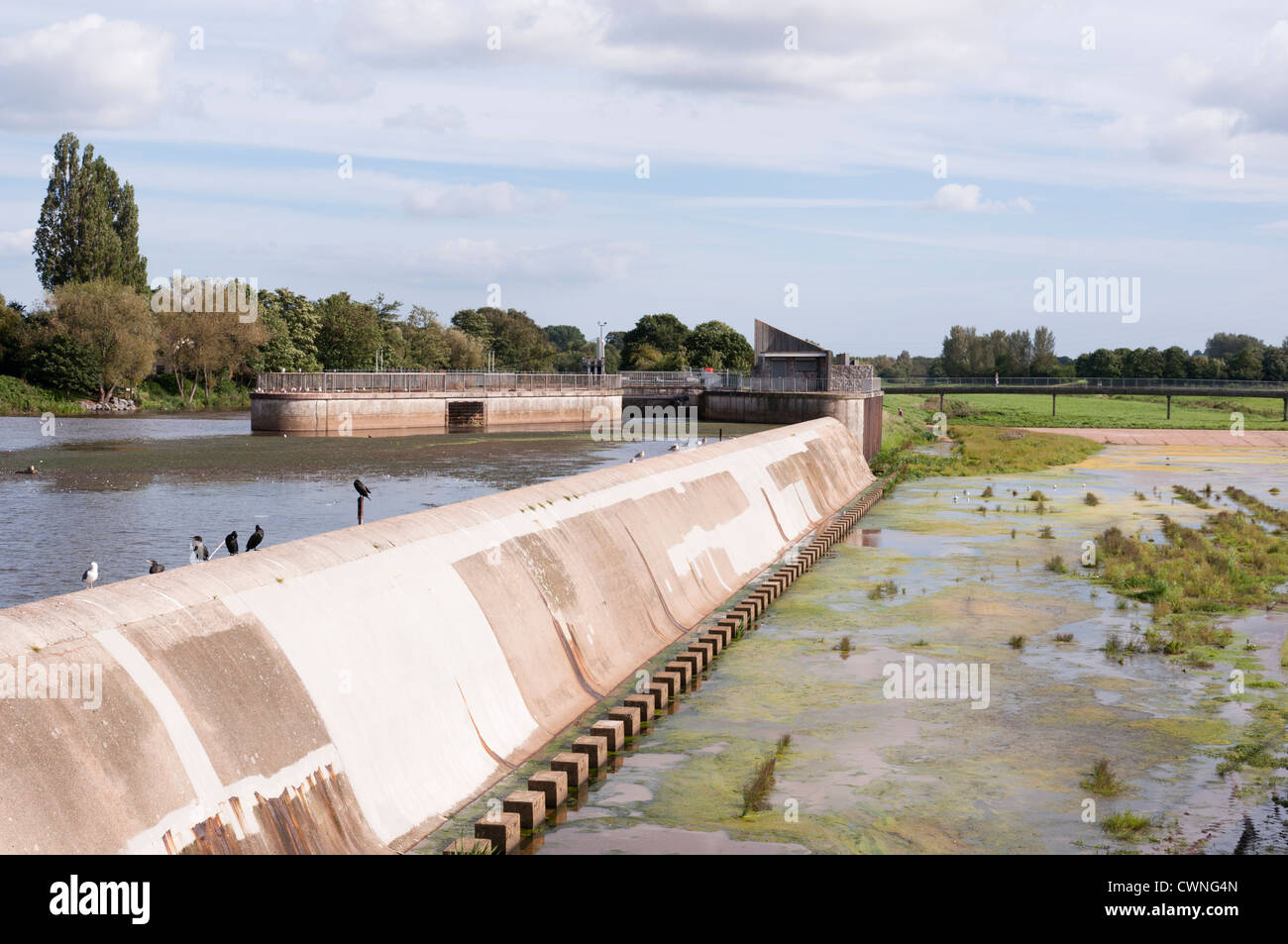 Flood defence system Trews Weir Exeter Devon England Stock Photo - Alamy