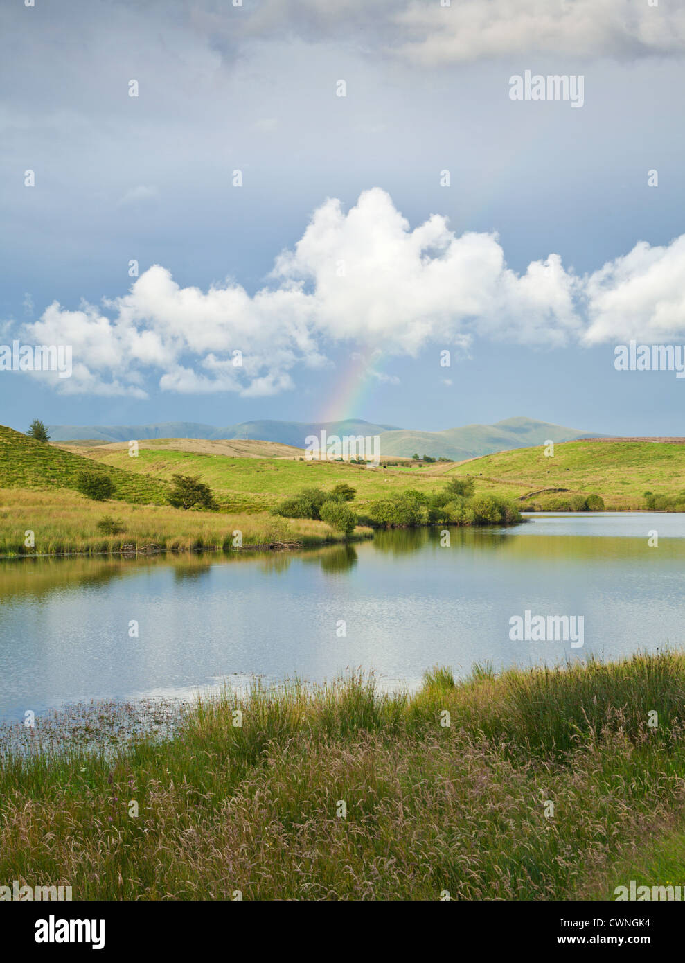 rainbow over a lake Stock Photo - Alamy