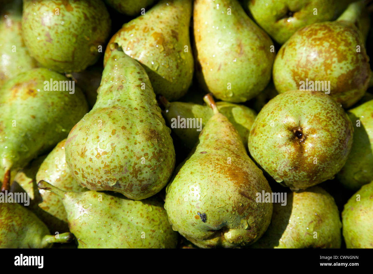 Pear concorde hi-res stock photography and images - Alamy