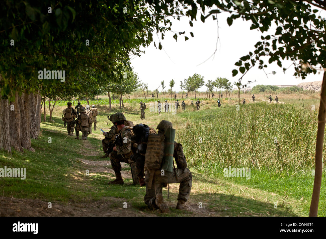 U.S. Marines patrol on July 11, 2012 in Sangin, Helmand province ...