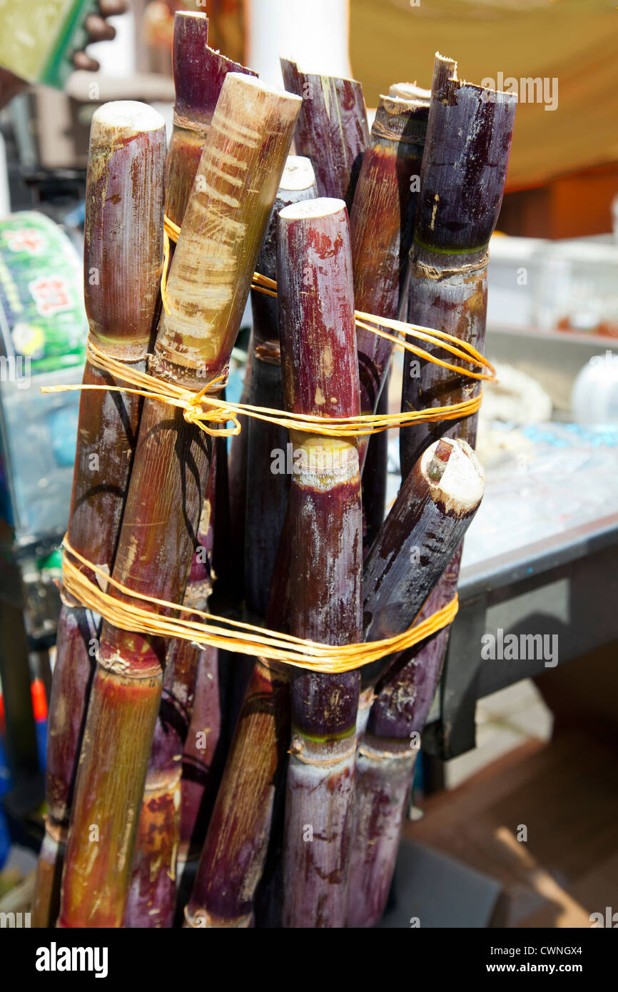 Bundle of cane hi-res stock photography and images - Alamy