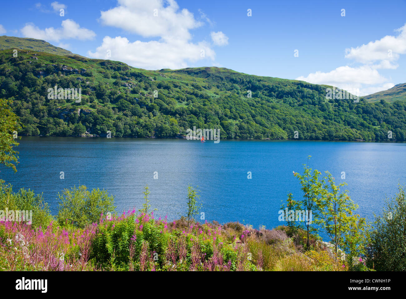 Loch lomond national park hi-res stock photography and images - Alamy
