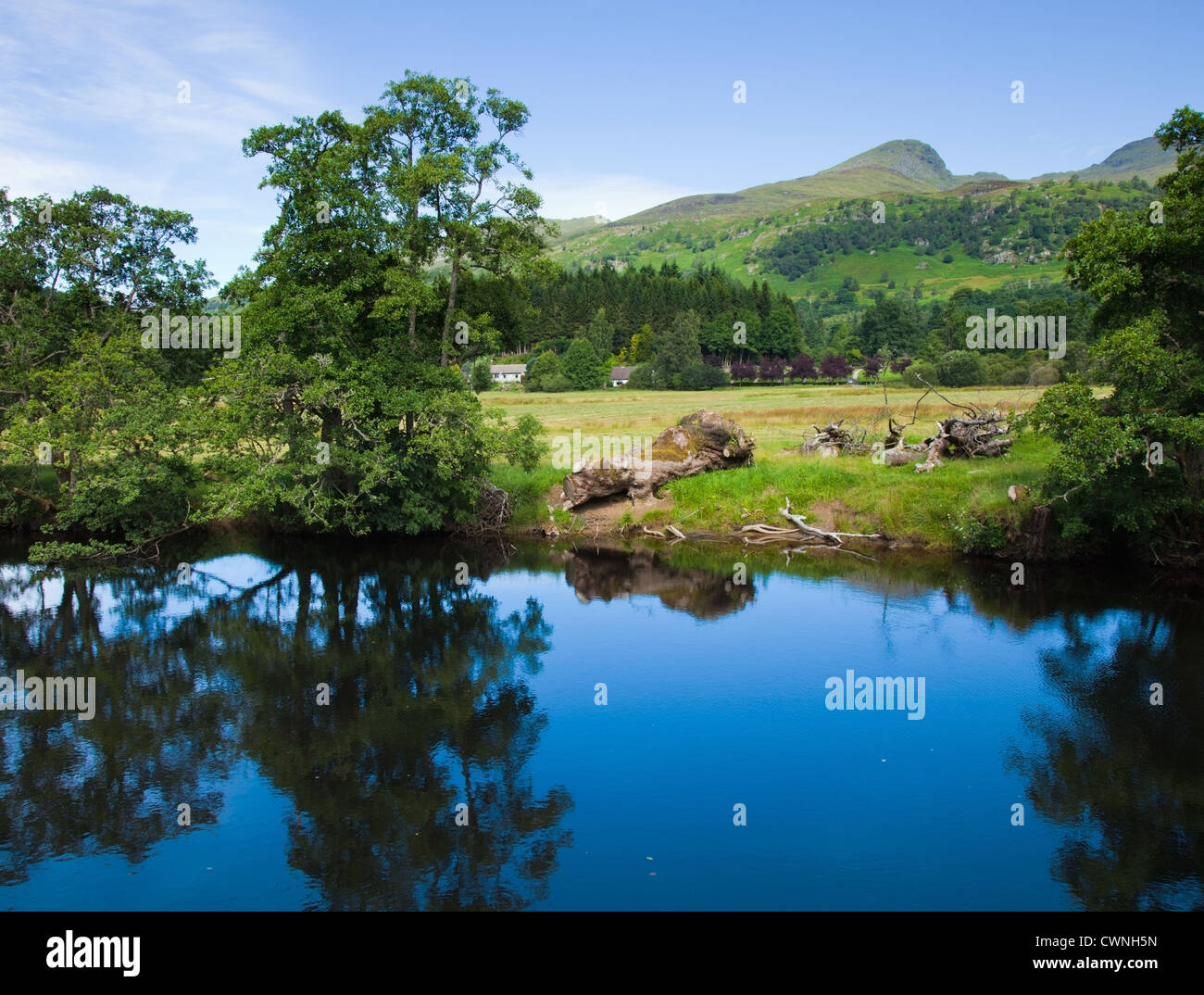 Scotland summer landscape Stock Photo - Alamy