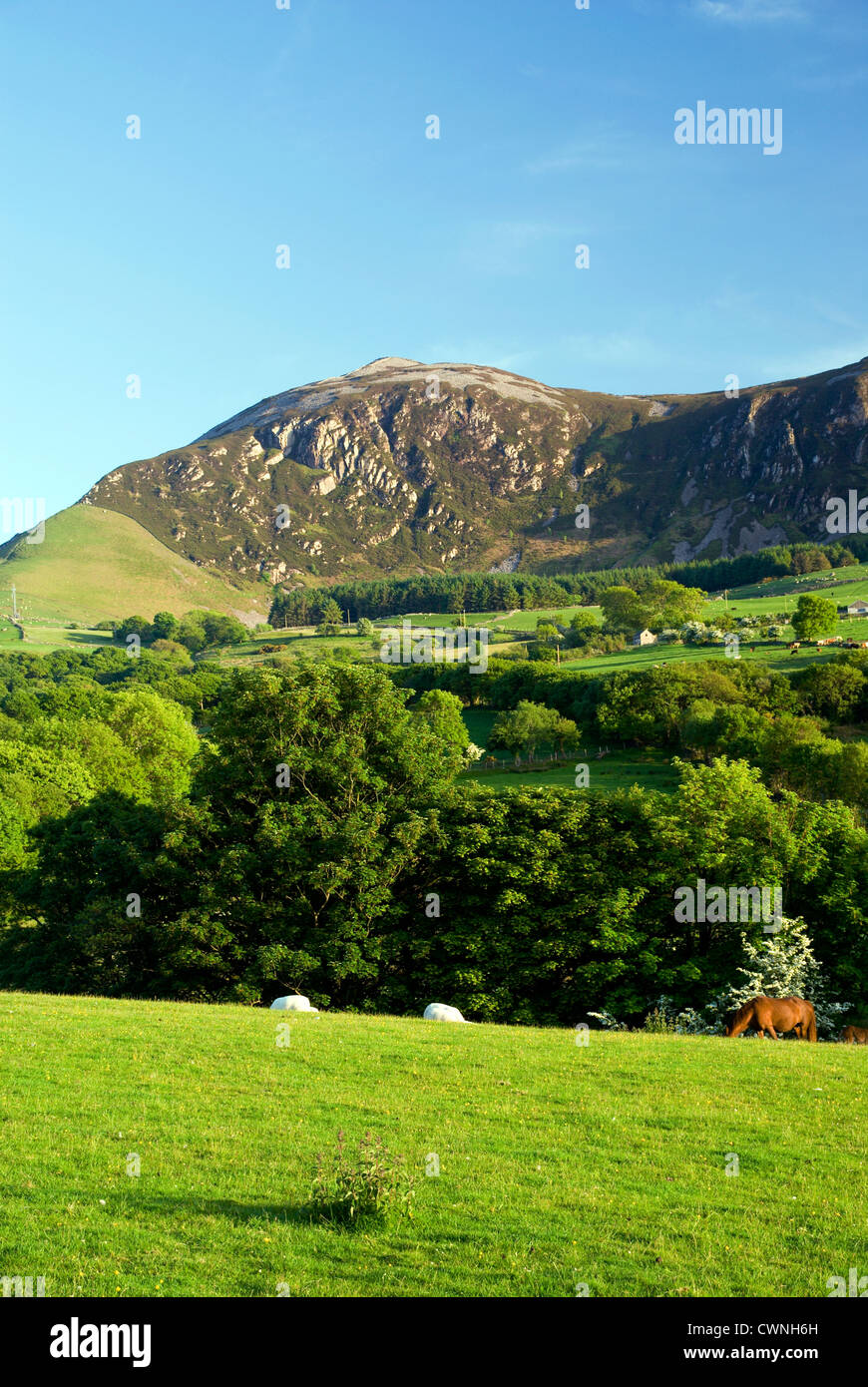 Tre'r Ceiri, Yr Eifl Mountains from Trefor, Lleyn Peninsula, Caernarfon ...