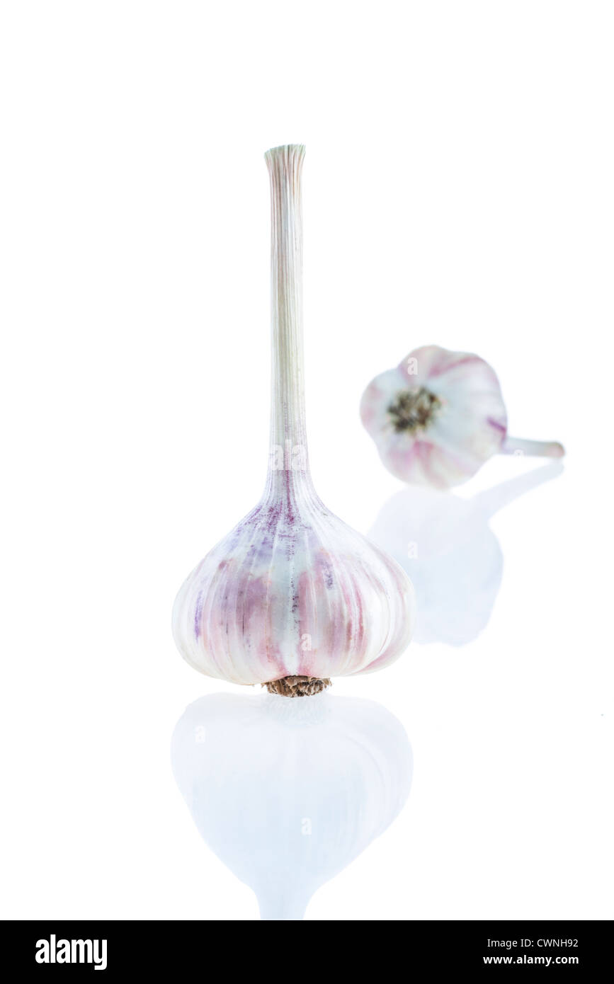 Garlic bulbs (Allium sativum Stock Photo - Alamy