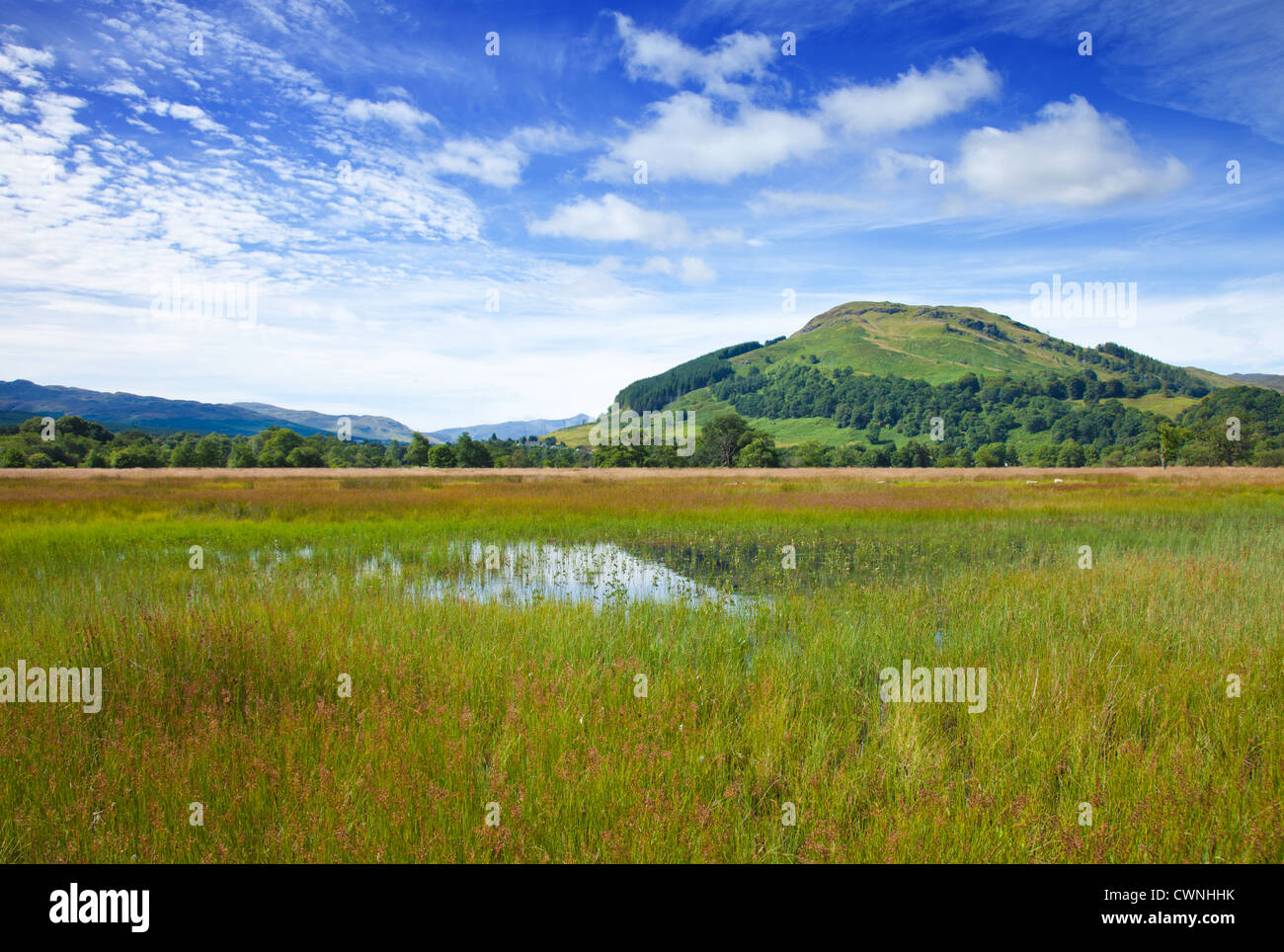Marshy plain between Loch Tay and confluence of the rivers Dochart and ...