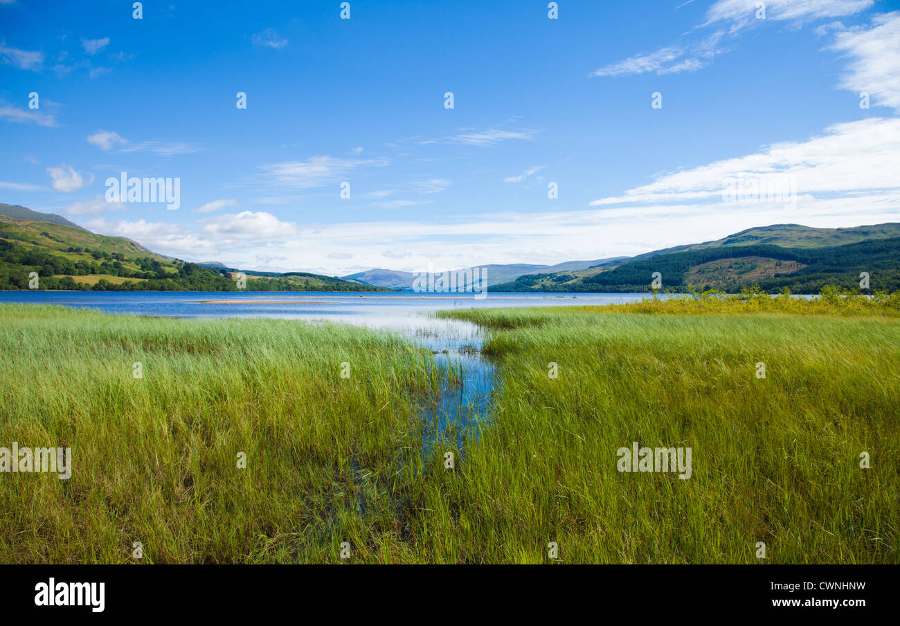 Loch Tay close to Killin, Scotland Stock Photo - Alamy