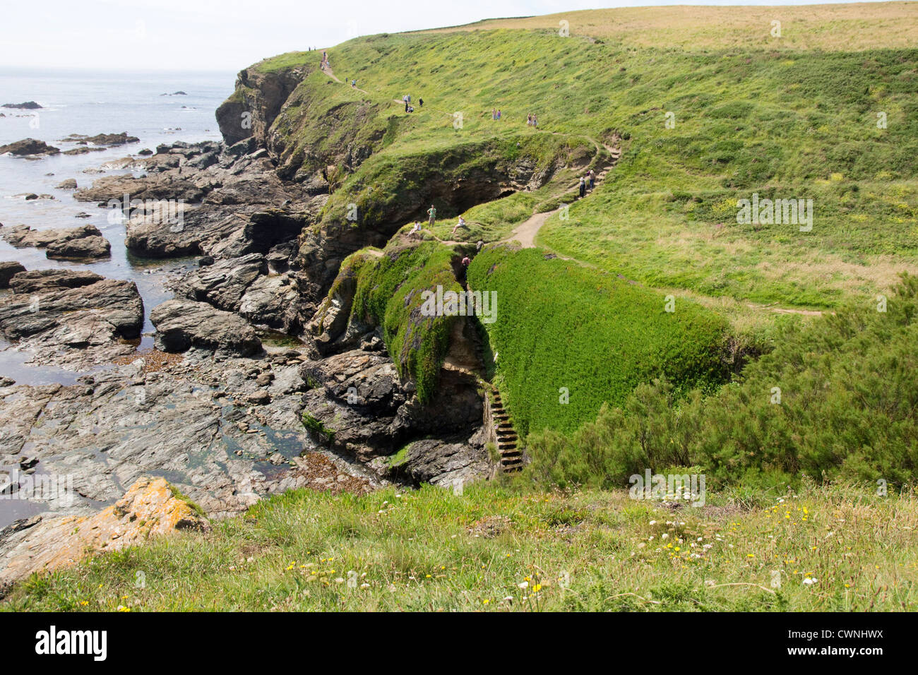 The Lizard Peninsula Cornwall England UK Stock Photo - Alamy