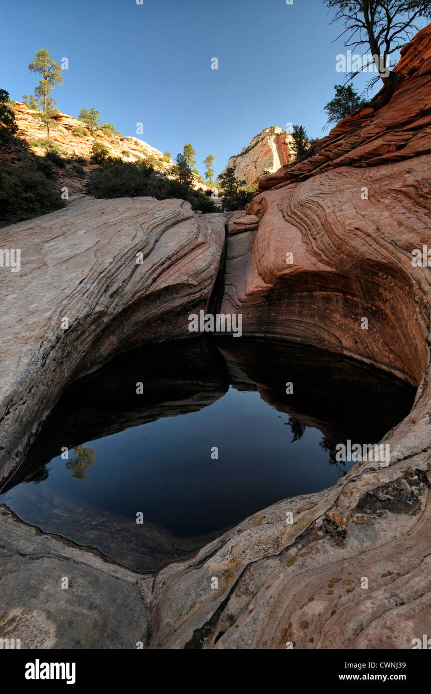 Sandstone mesa reflected reflect reflection desert water pool zion ...