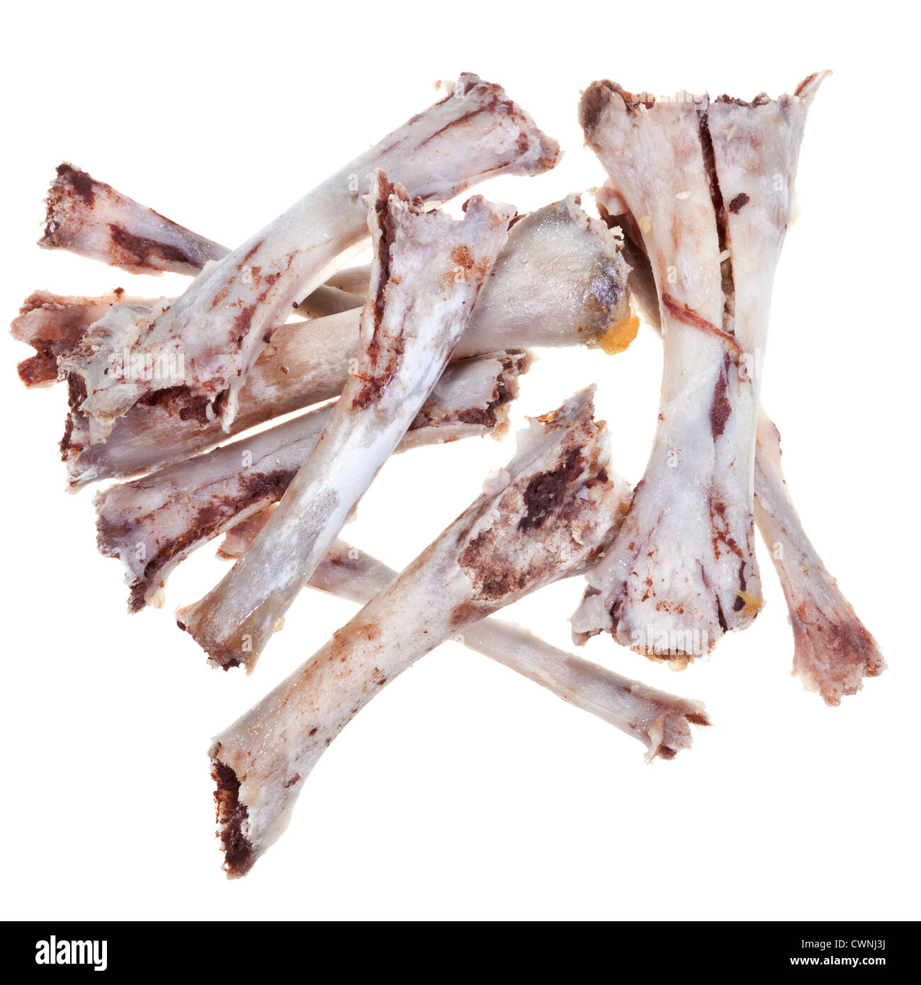 bare chicken bones isolated on white background Stock Photo - Alamy
