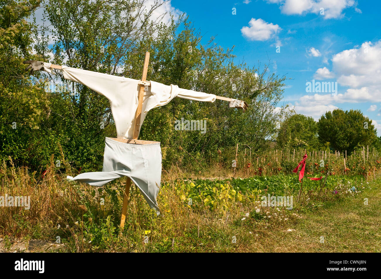 Small scarecrow hi-res stock photography and images - Alamy