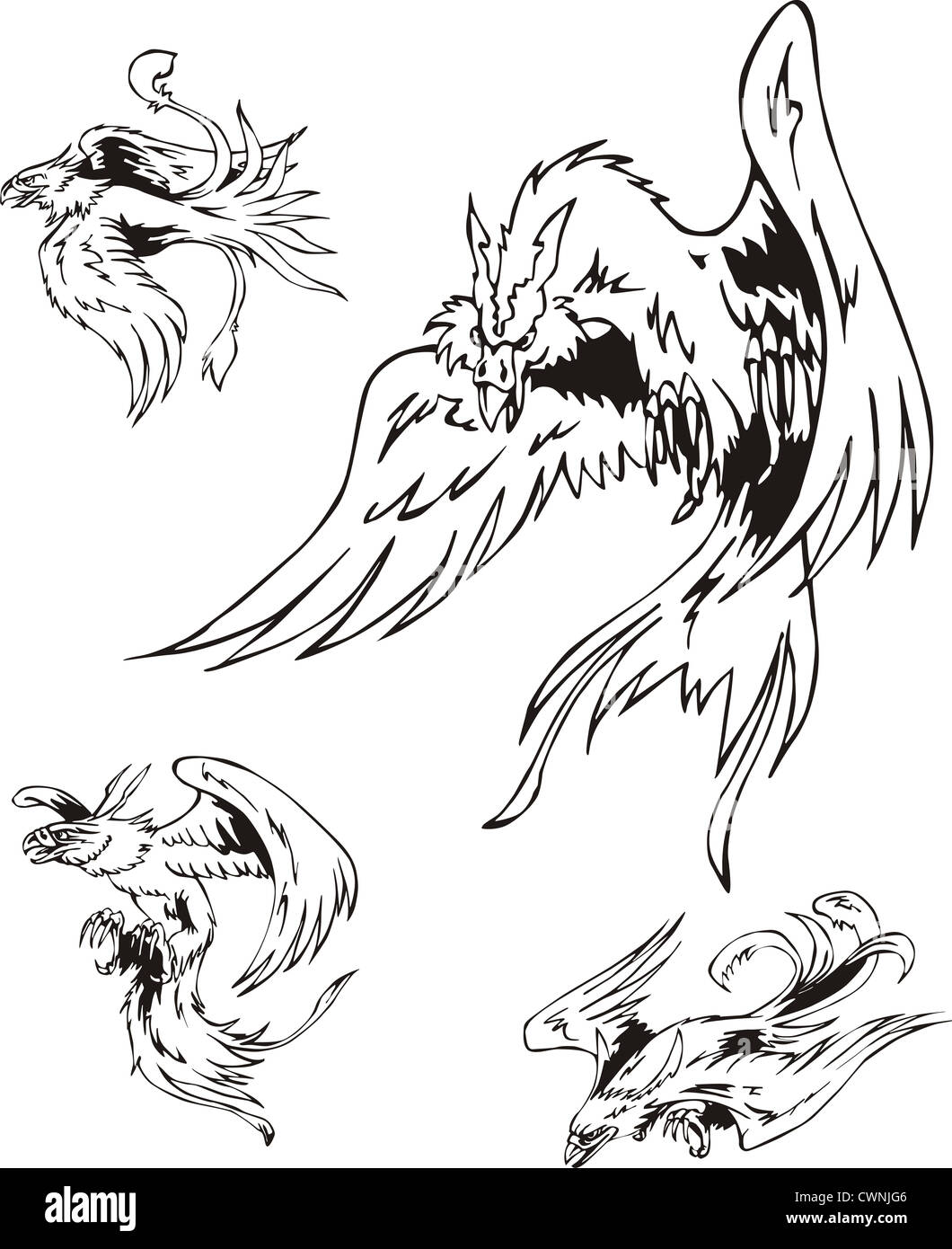 Predatory Bird Tattoos. Set of black and white vector illustrations ...