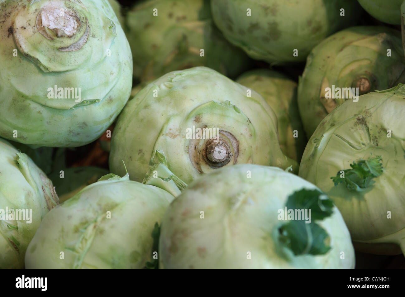 Heap of turnips hi-res stock photography and images - Alamy