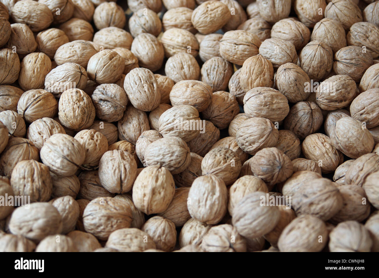 Walnut more hi-res stock photography and images - Alamy